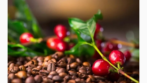 NOTICIAS • OLIVA RADIO Máxima Audiencia • Xalapa, Ver. México